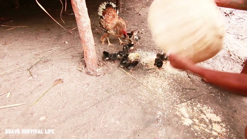 How I built a jungle house with just bamboo!