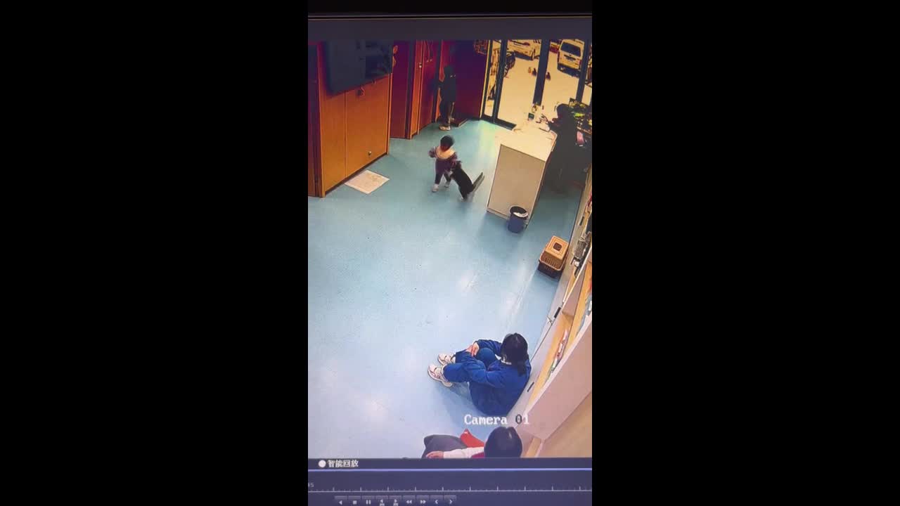 Cat knocks toddler over before walking away in Henan, China