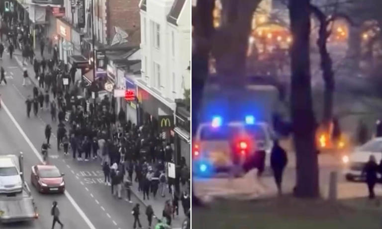 Families 'are barricaded inside high street stores' as mobs of youths ...