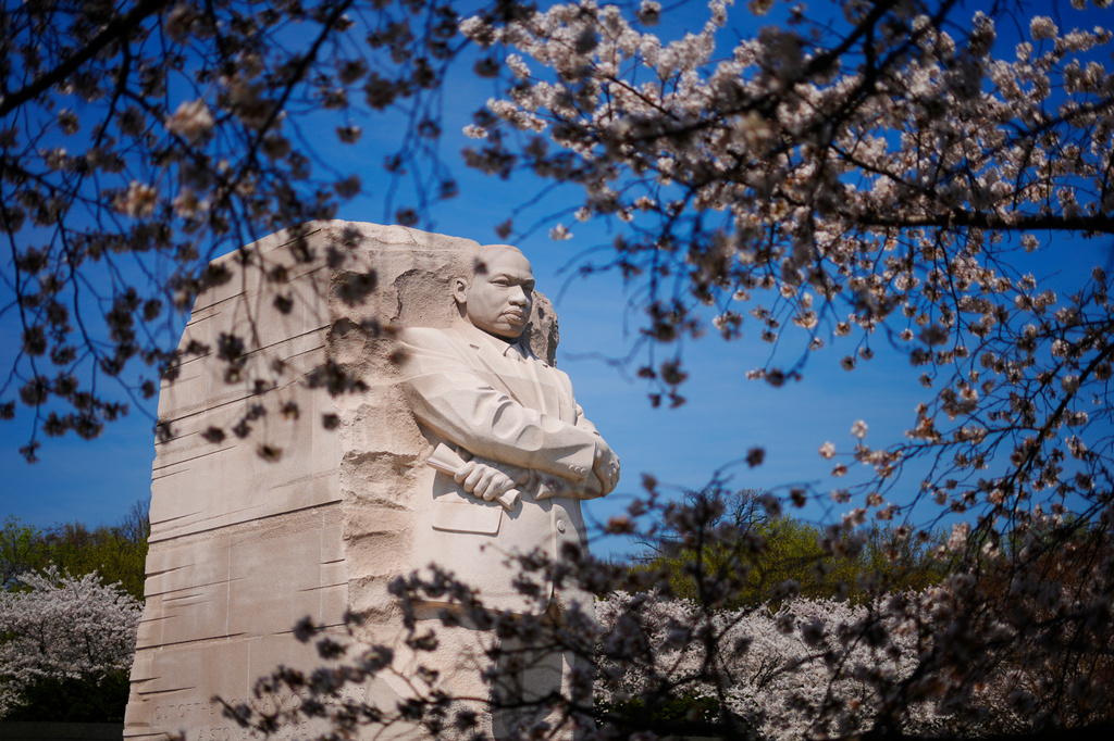 A world in bloom: Spring flowers unfold from Tokyo to Mexico, in photos