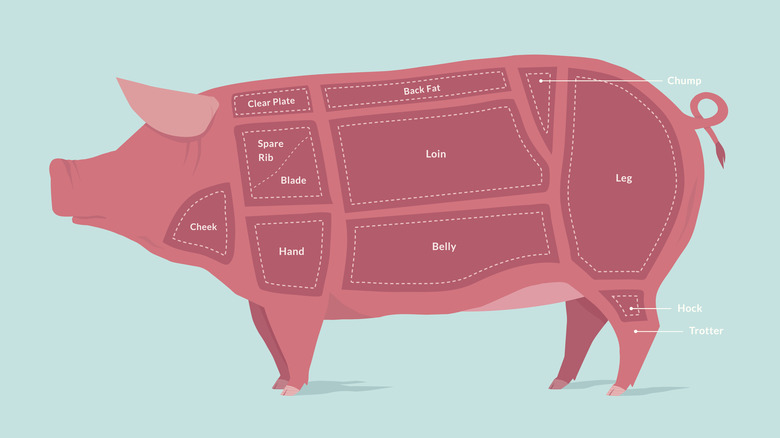 Pork neck bones are the flavorful cut of meat beloved in Southern dishes