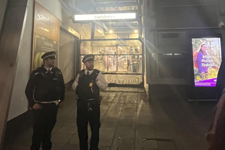 Families 'barricaded inside shops' as terrorising youths force London ...