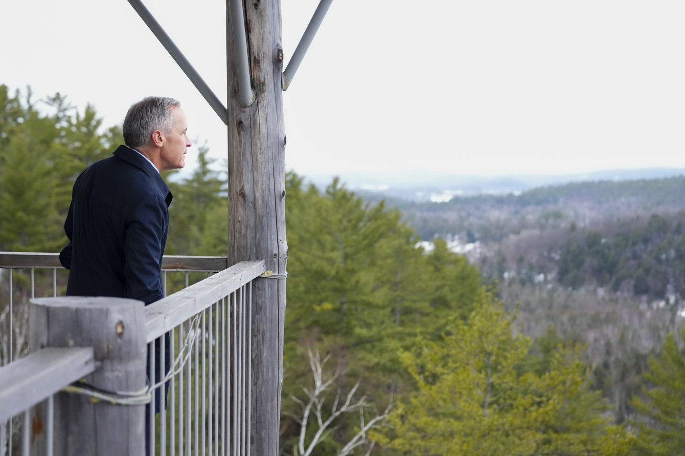 'Good day to be a polar bear': Carney unveils nature strategy, new ...