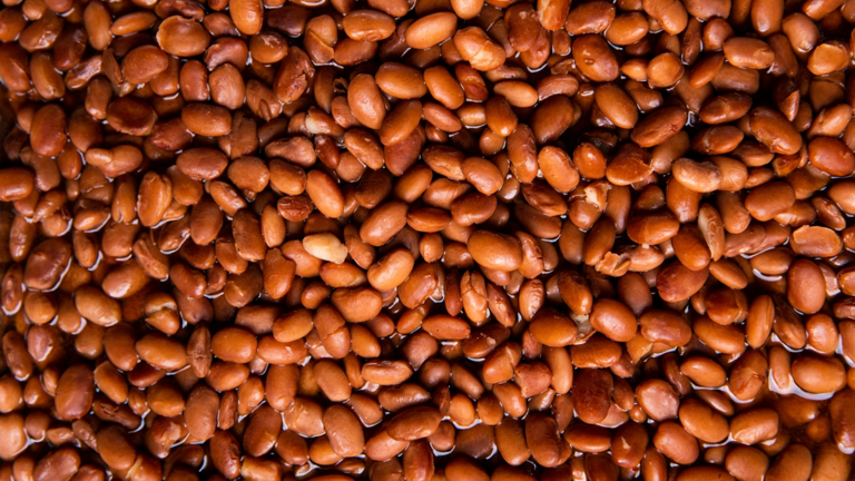 Canned beans now under scrutiny over possible colon cancer link