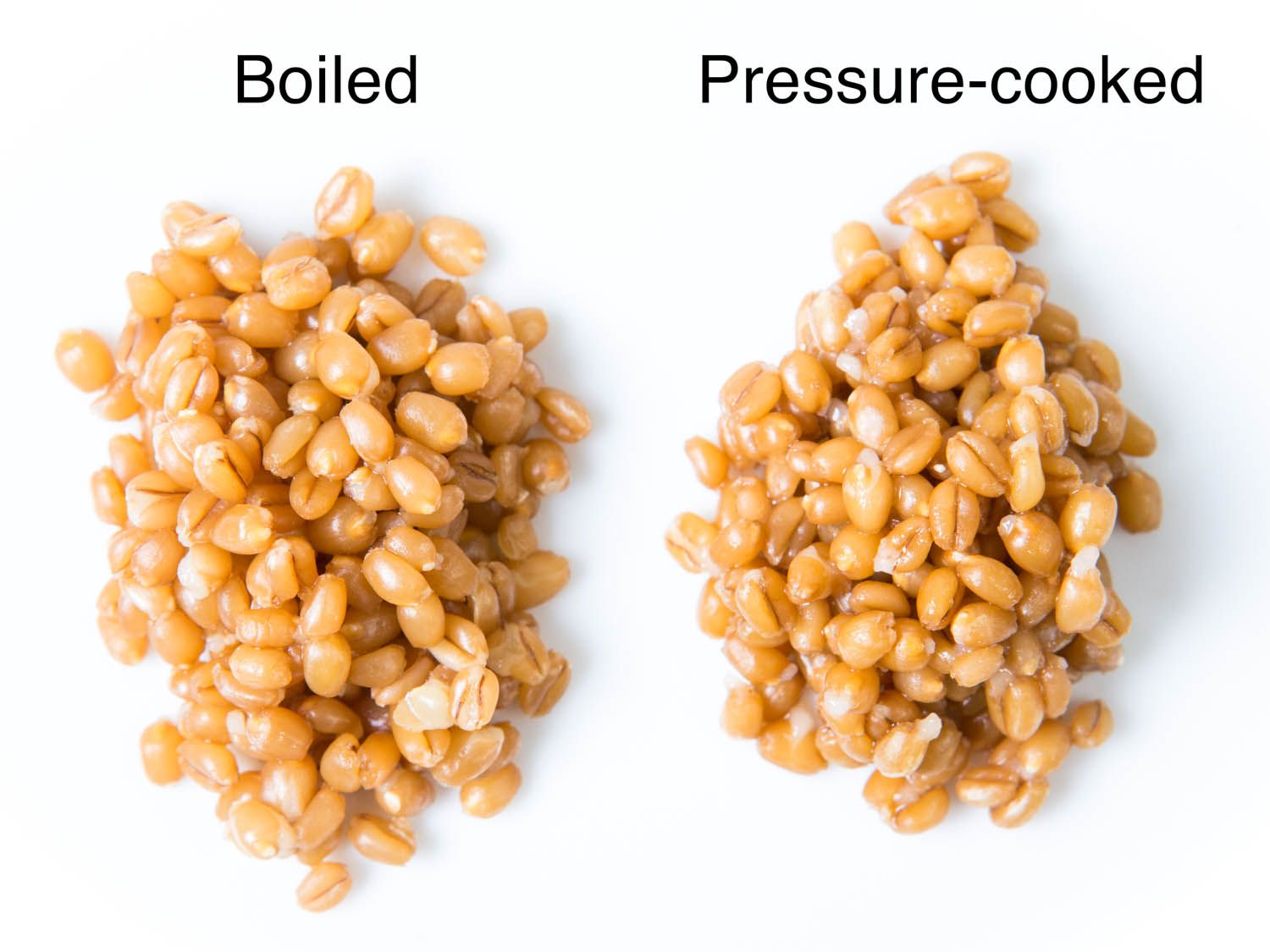We tested the best way to cook whole grains—here’s what we found