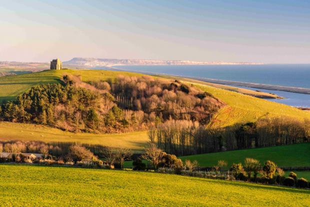 New music festival led by world renowned musician to launch in Dorset ...