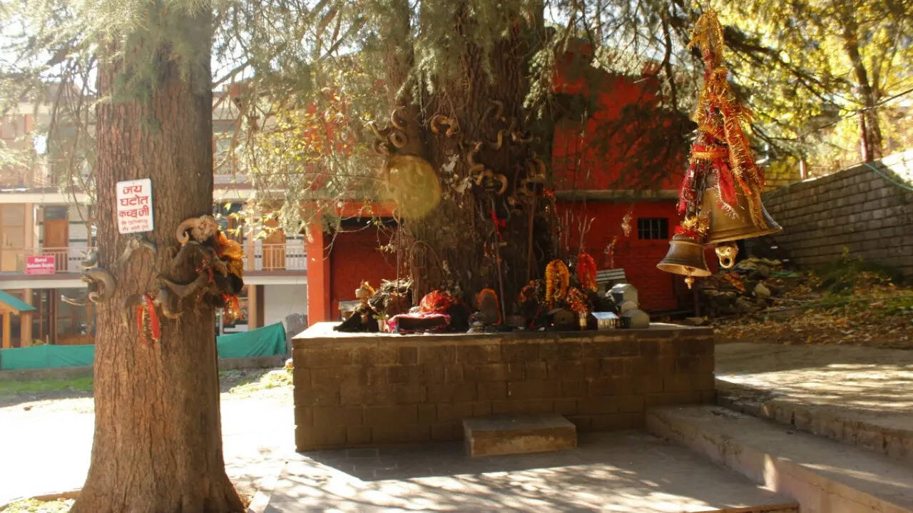 5 interesting facts about Manali's Hidimba Temple