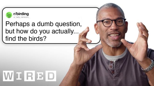 Professional birder answers birding questions