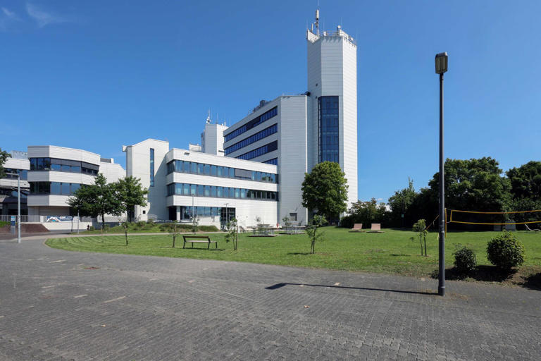 Uni Siegen: Für diese drei zulassungsbeschränkten Studiengänge kann man ...
