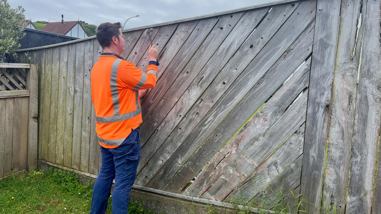 How to clean a dirty wood fence without a pressure washer (it's so simple)