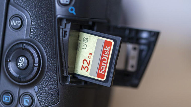 Memory card prices may just be the start. These three camera brands ...