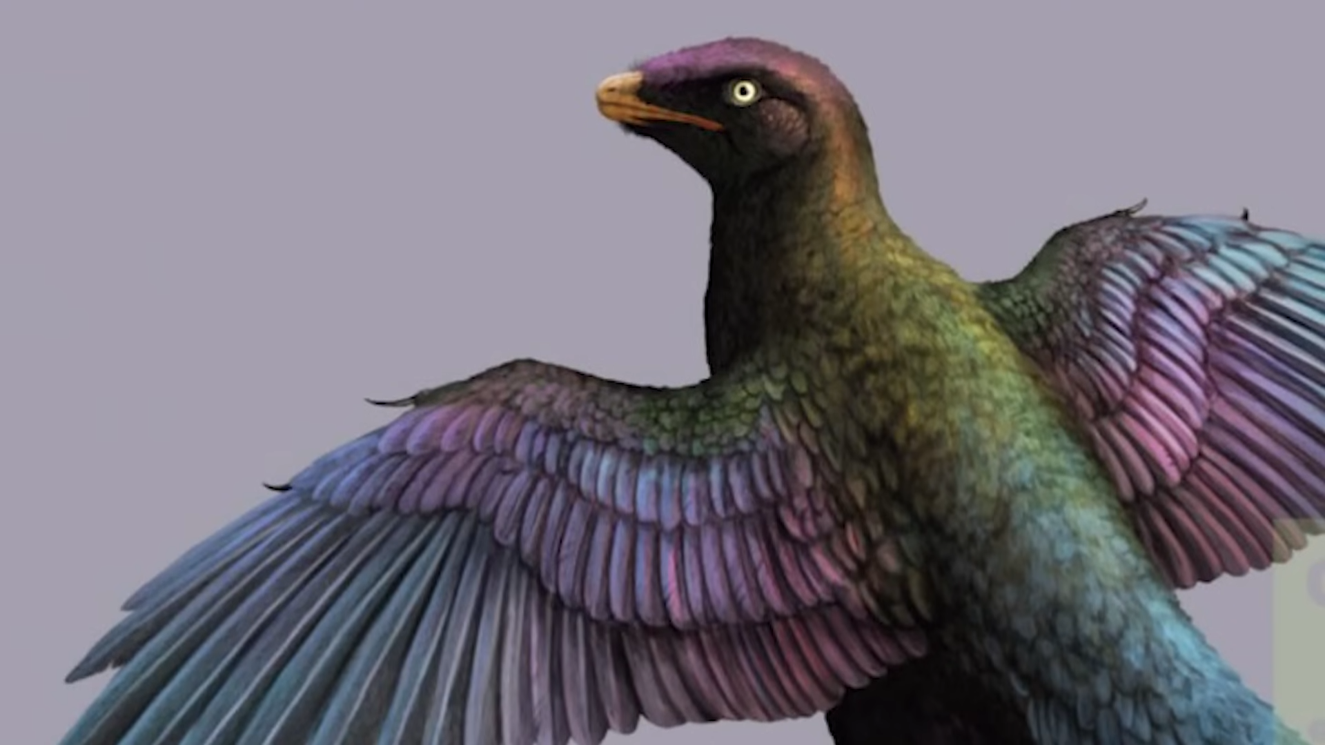 Why scientists hesitate to connect dragons to prehistoric beasts