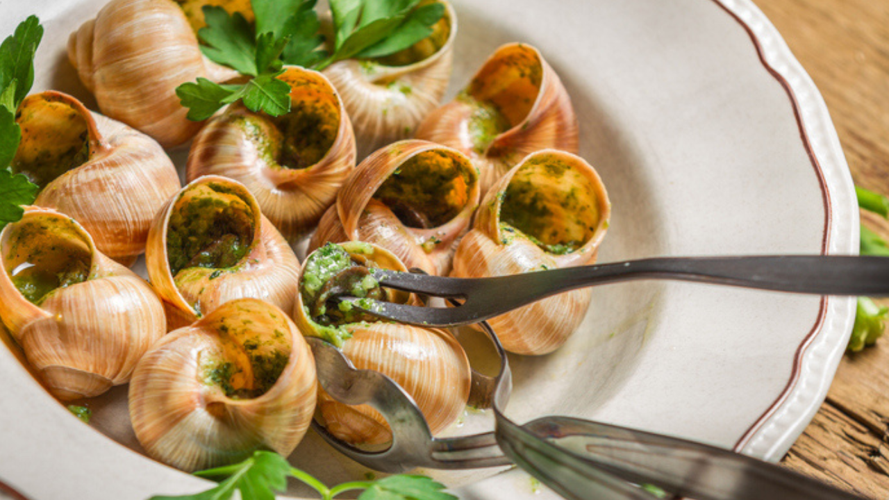 7 delicious snail dishes you need to try at least once