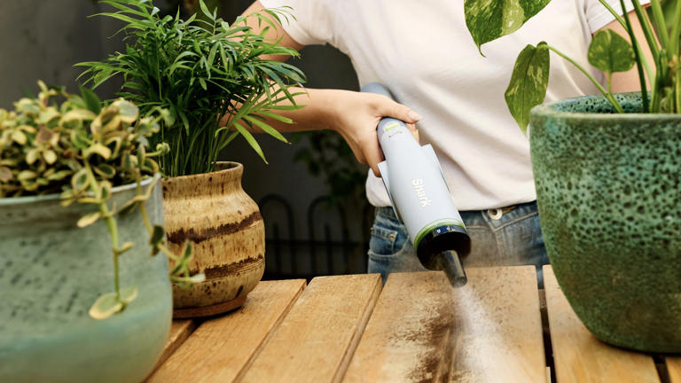 Shark's latest gadget is technically a leaf blower – but unlike ...