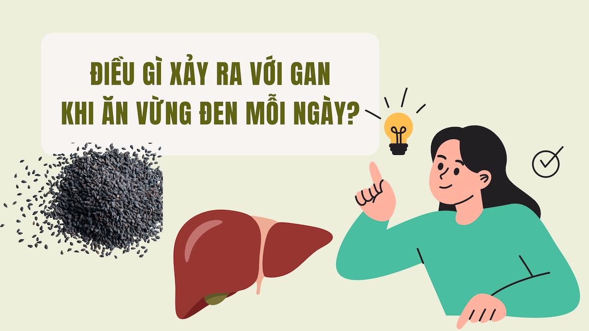 Điều gì xảy ra với gan khi ăn vừng đen mỗi ngày