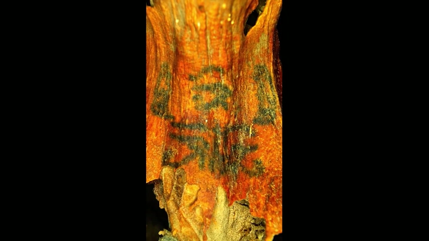 The Gebelein man, an ancient tattooed murder victim
