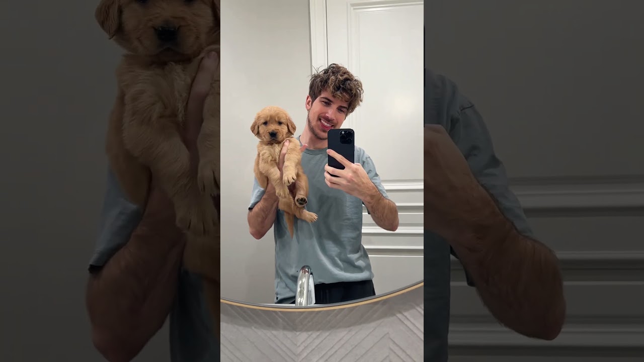 Watch my tiny puppy grow to become a big dog