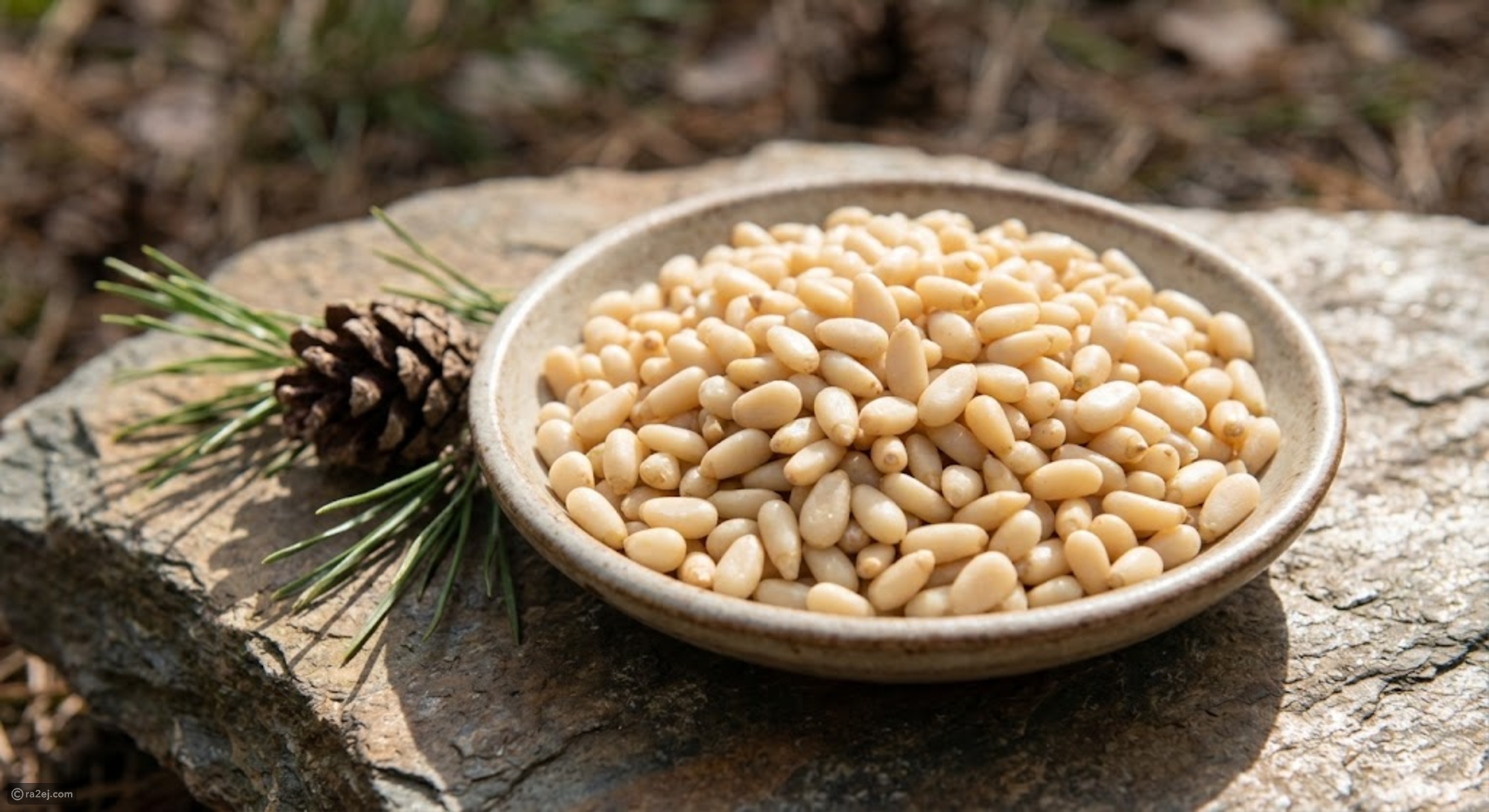 The most popular nuts, ranked from most to least healthy