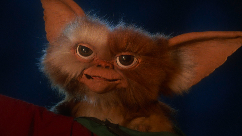 Dumb things in Gremlins everyone ignored