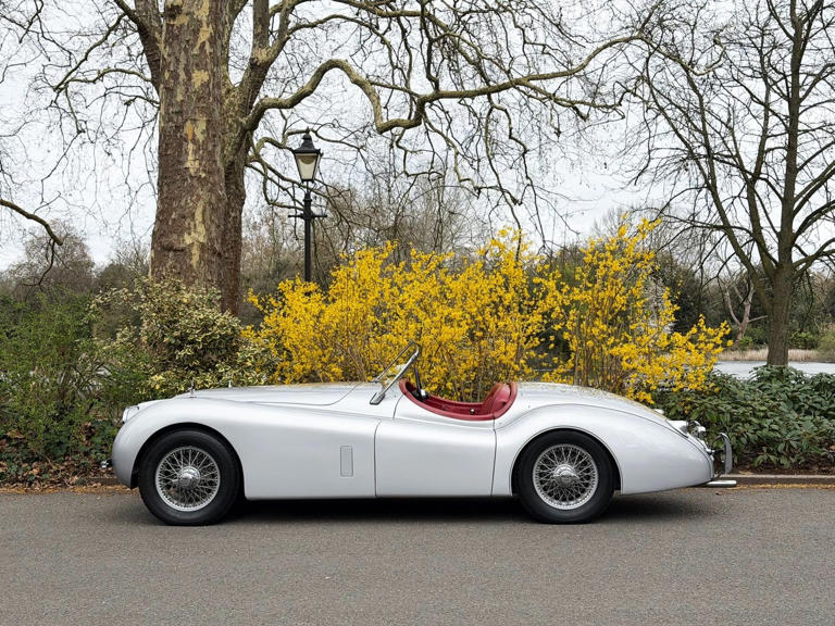 1953 Jaguar XK120 roadster showcases early sports car legacy with ...