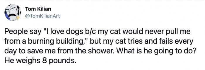 24 hilarious dog vs. cat tweets you’ll relate to