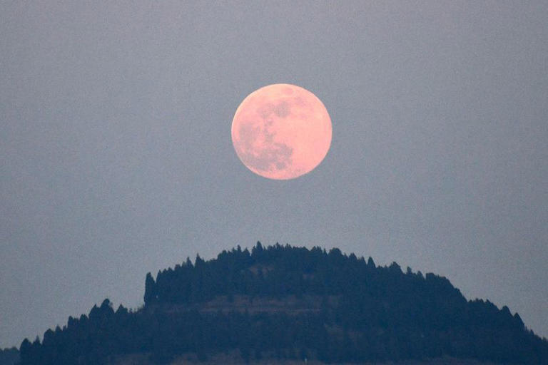 Pink moon 2026: When can I see the April 1 full moon