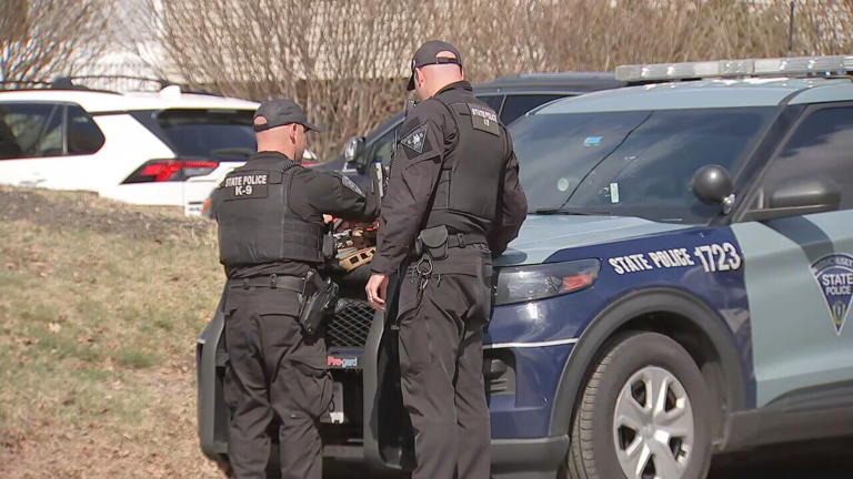 Mass. man accused of killing 90-year-old grandmother with skateboard ...