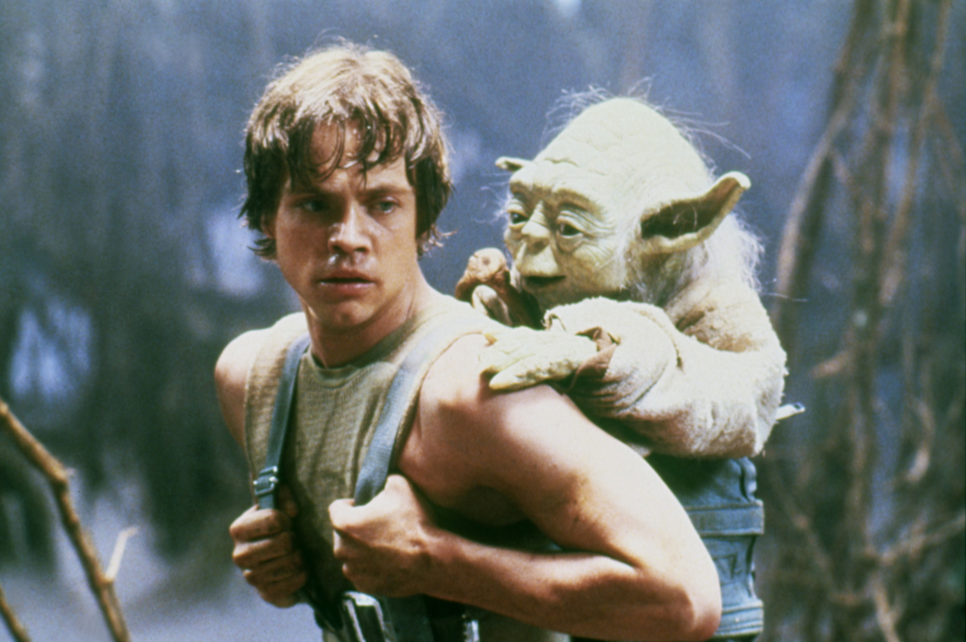 The most beloved non-human characters in film and TV