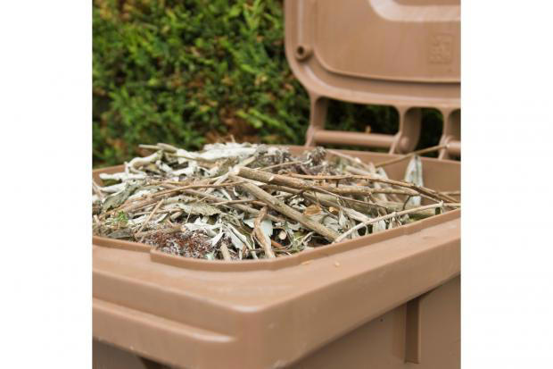 Westmorland and Furness Council launches £60 garden waste subscription