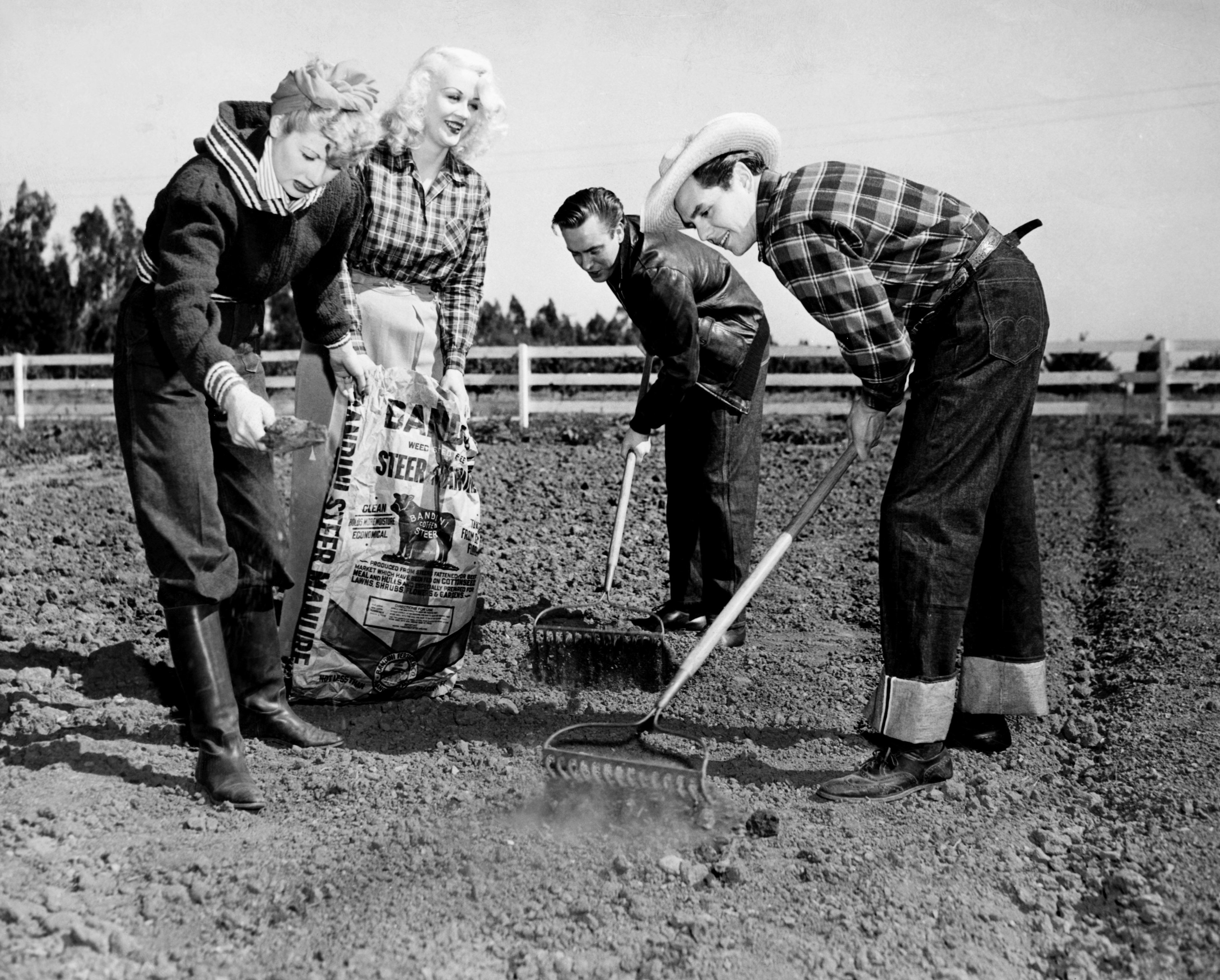 Lucy and Ricky in real life: 28 photos of Lucille Ball and Desi Arnaz ...