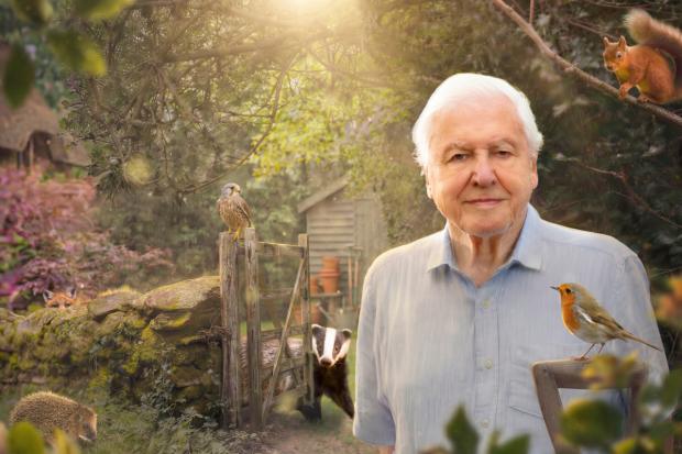 sir-david-attenborough-to-explore-oxfordshire-garden-for-new-bbc-show