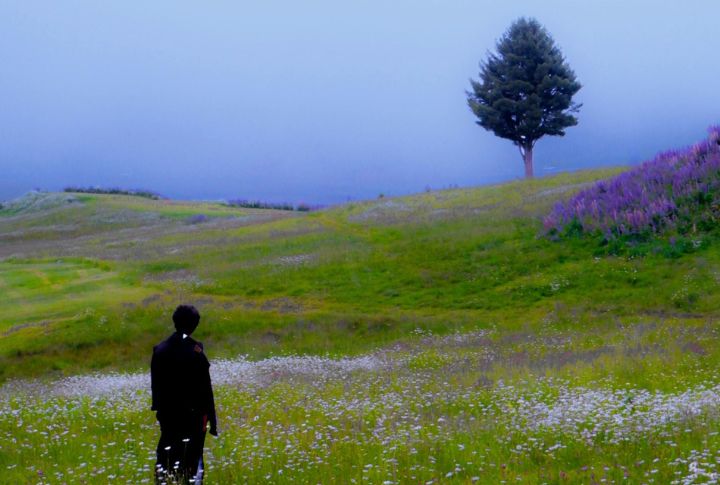 10 powerful insights from Emily Dickinson's timeless poetry