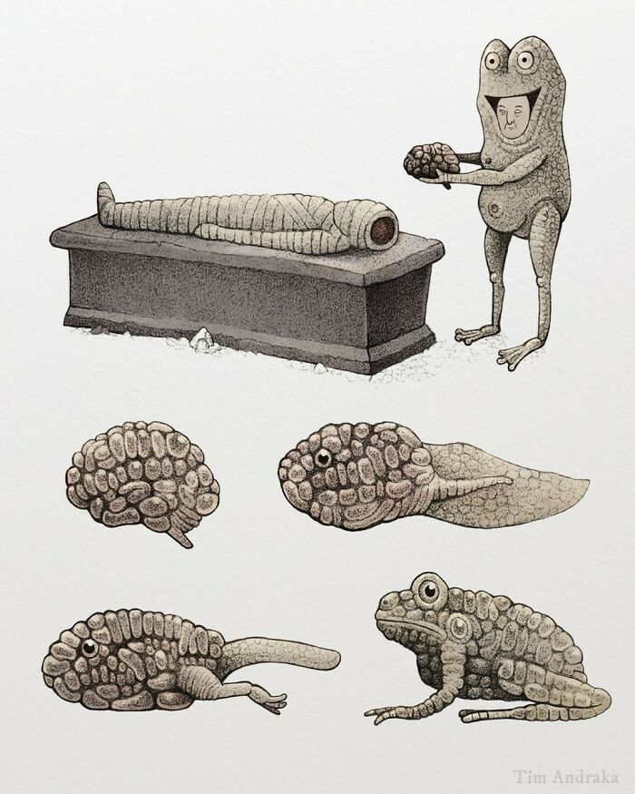 Surreal zoology: 21 new nonsensical scientific illustrations of wildlife