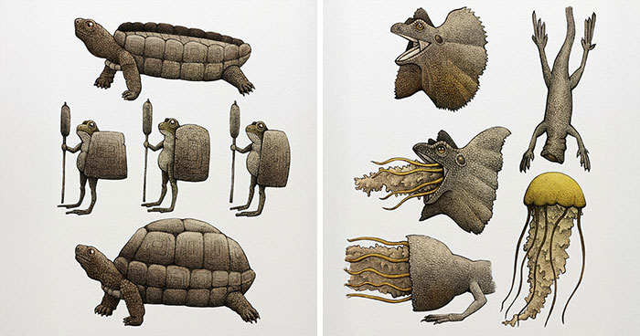 Surreal zoology: 21 new nonsensical scientific illustrations of wildlife