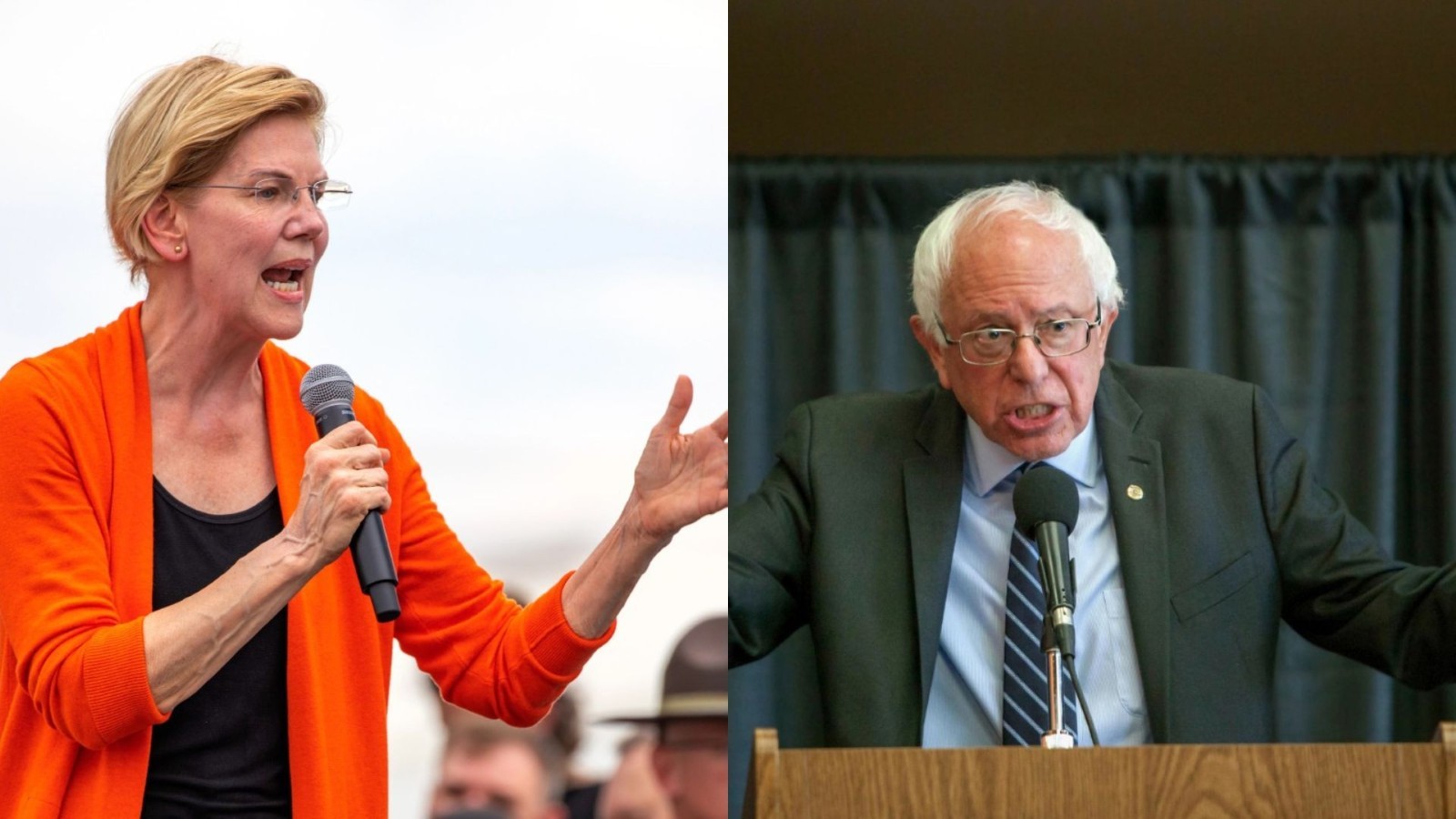 Elizabeth Warren, Bernie Sanders and Democrats demand wealth tax after ...