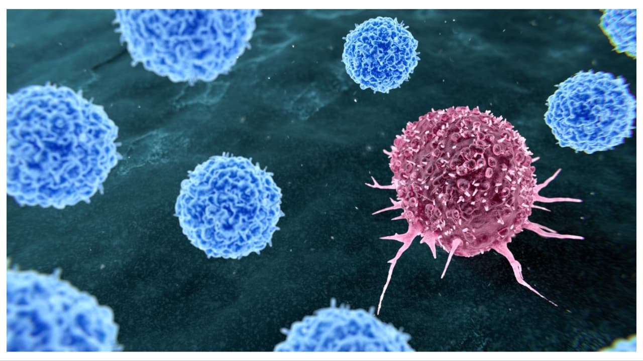 Cancer risk: 7 everyday things in your kitchen that could be risky