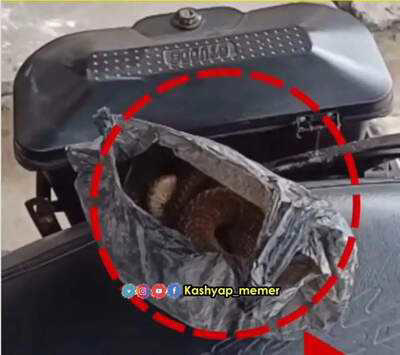 Shocking encounter: Drunk man survives king cobra bite while snake dies
