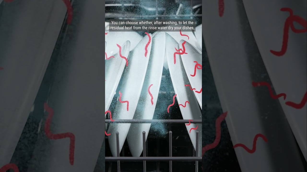 What actually happens inside a dishwasher?