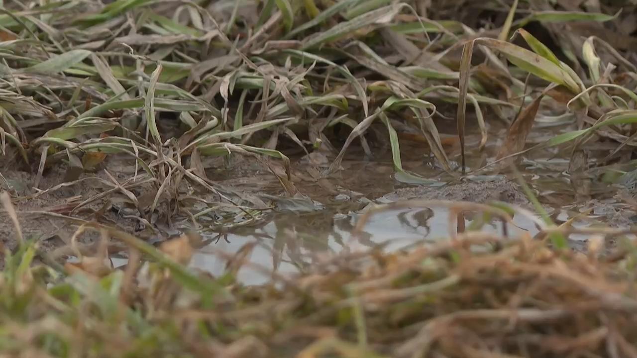 Nitrate pollution, agriculture’s persistent problem, expected to worsen ...