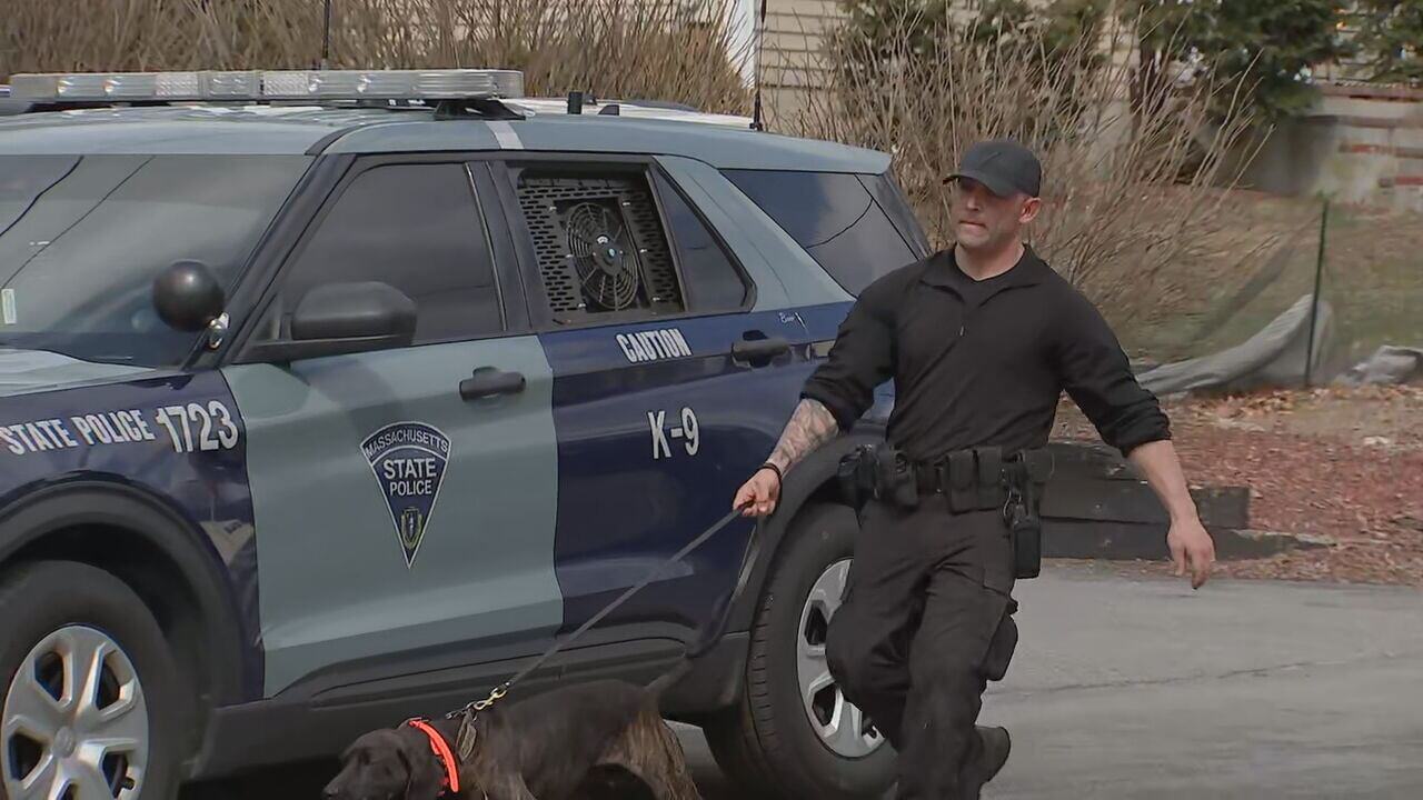 Mass. man accused of killing 90-year-old grandmother with skateboard ...