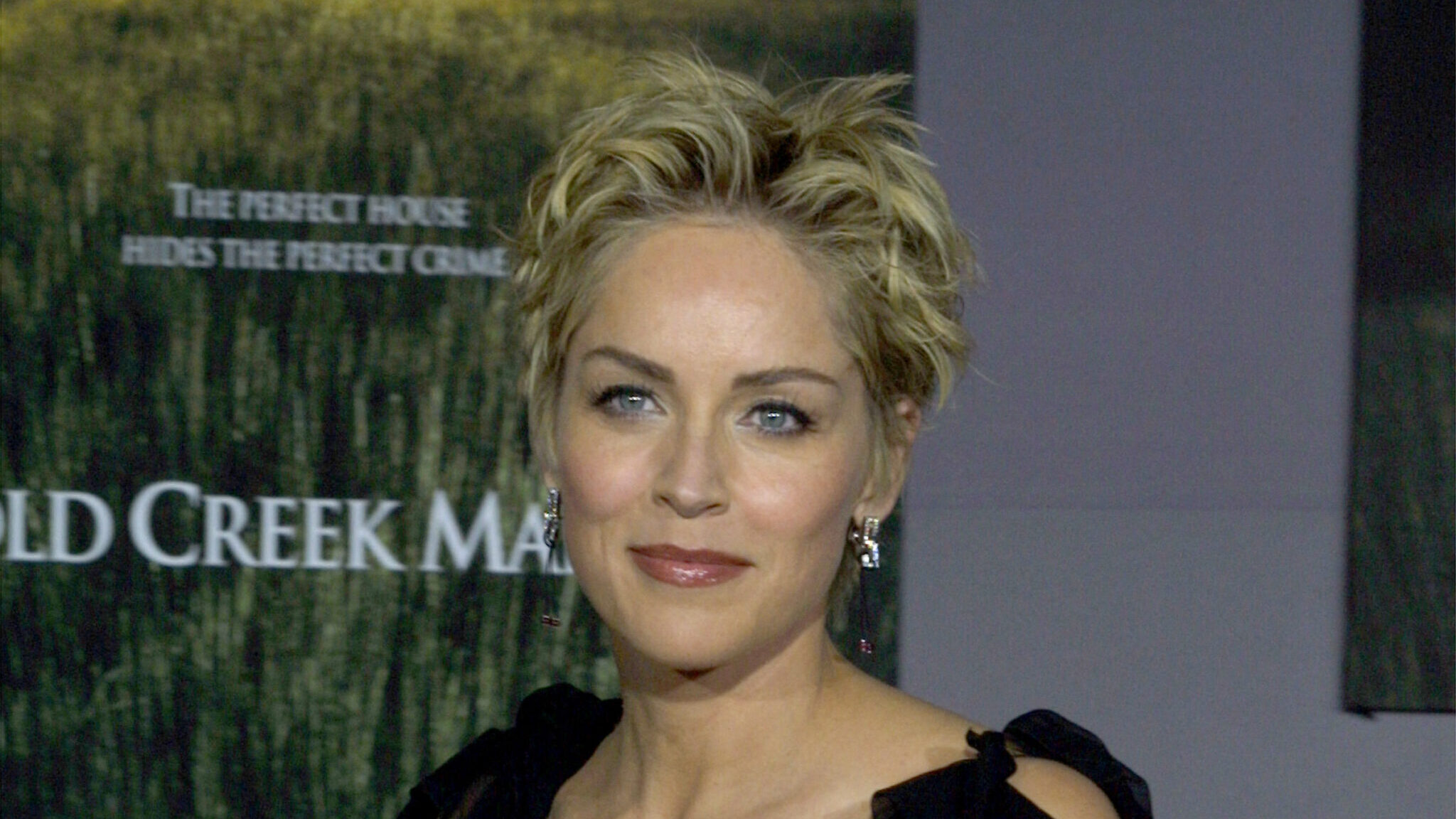 Sharon Stone reveals she 'fast forwards' through steamy scenes on TV ...