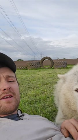 Taking a work break with two very clingy fluffy dogs