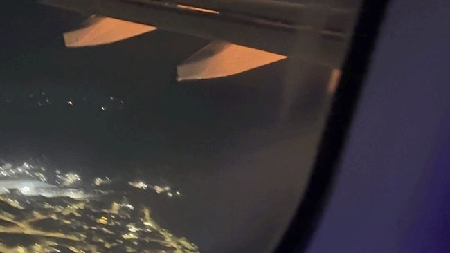 Relieved Passengers Cheer as Delta Flight With Exploded Engine Safely ...