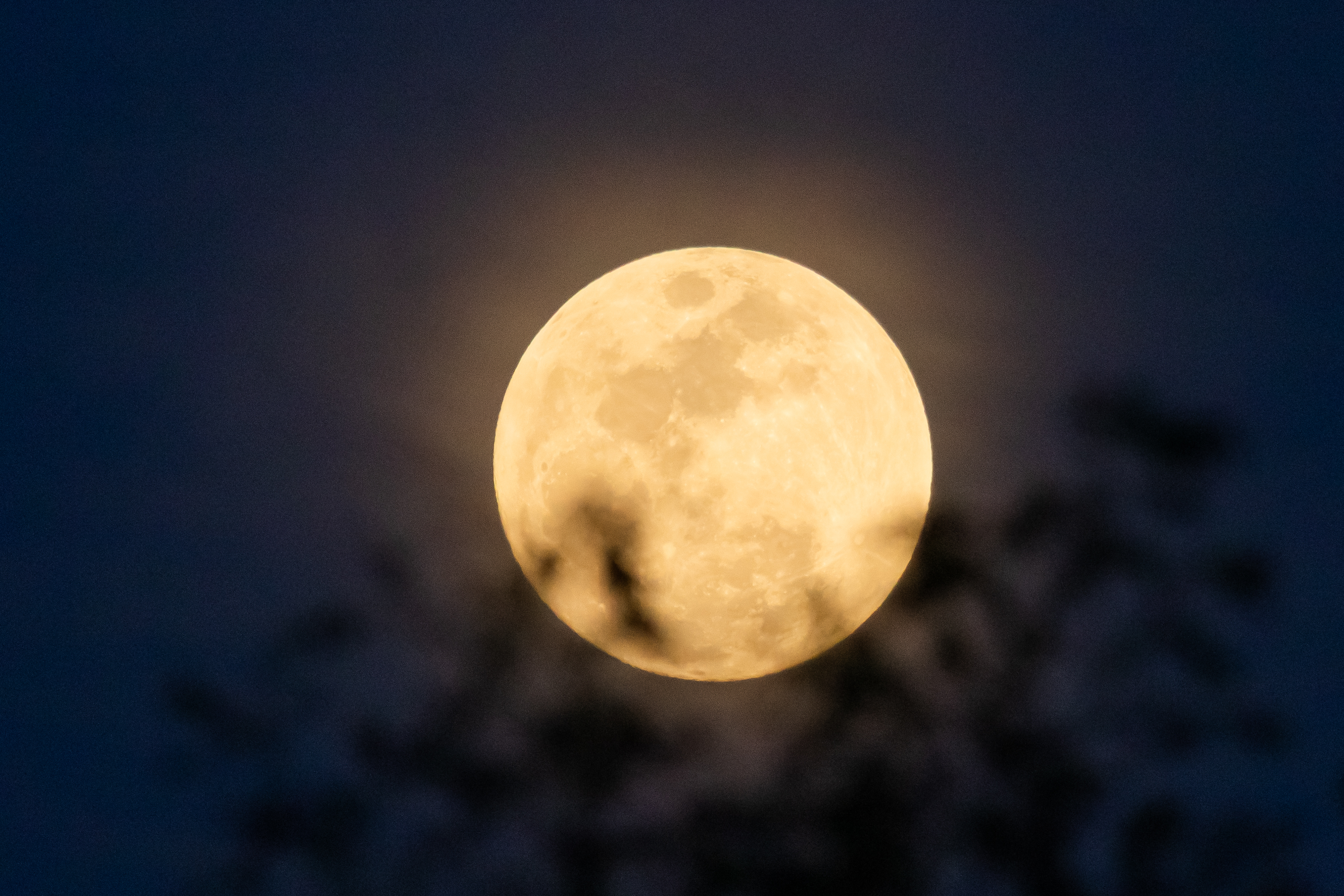 The moon has changed since humans last set foot on it. Here's how