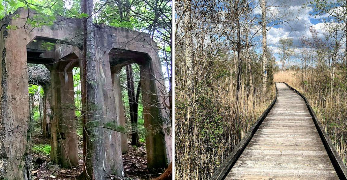 This New Jersey park is a 1,700-acre ghost city where nature is ...