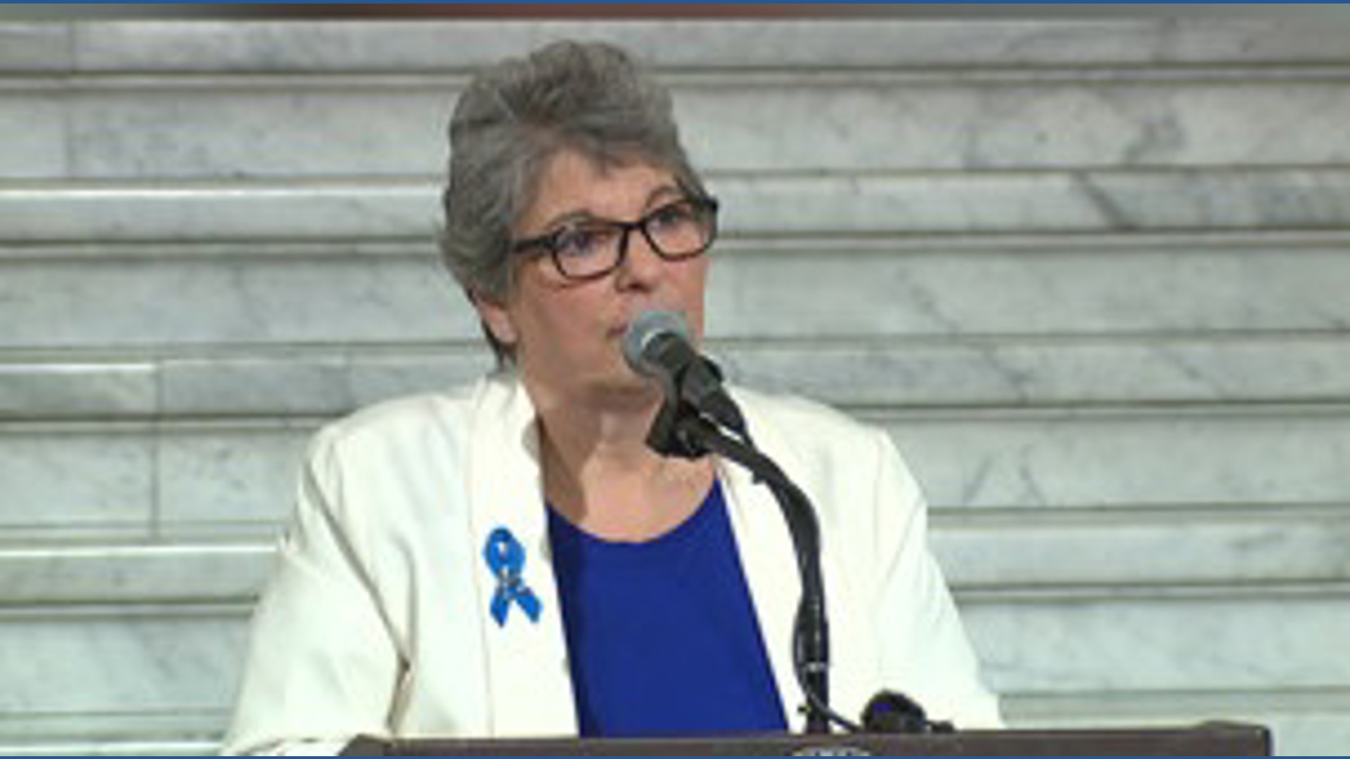 Organizations gather at the Capitol to kick off National Child Abuse ...