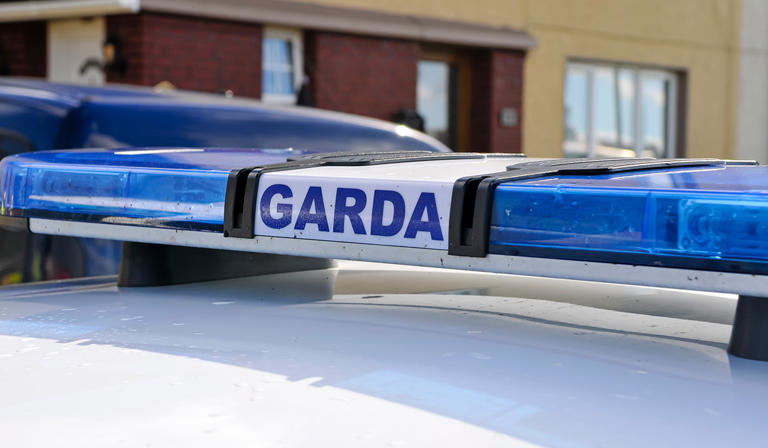 Unaccompanied learner driver gets 'fast track' to court following M50 stunt