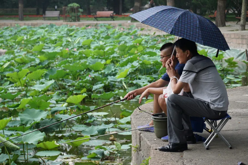 China Life faces earnings drag as investment returns weaken