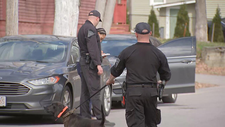 Mass. man accused of killing 90-year-old grandmother with skateboard ...