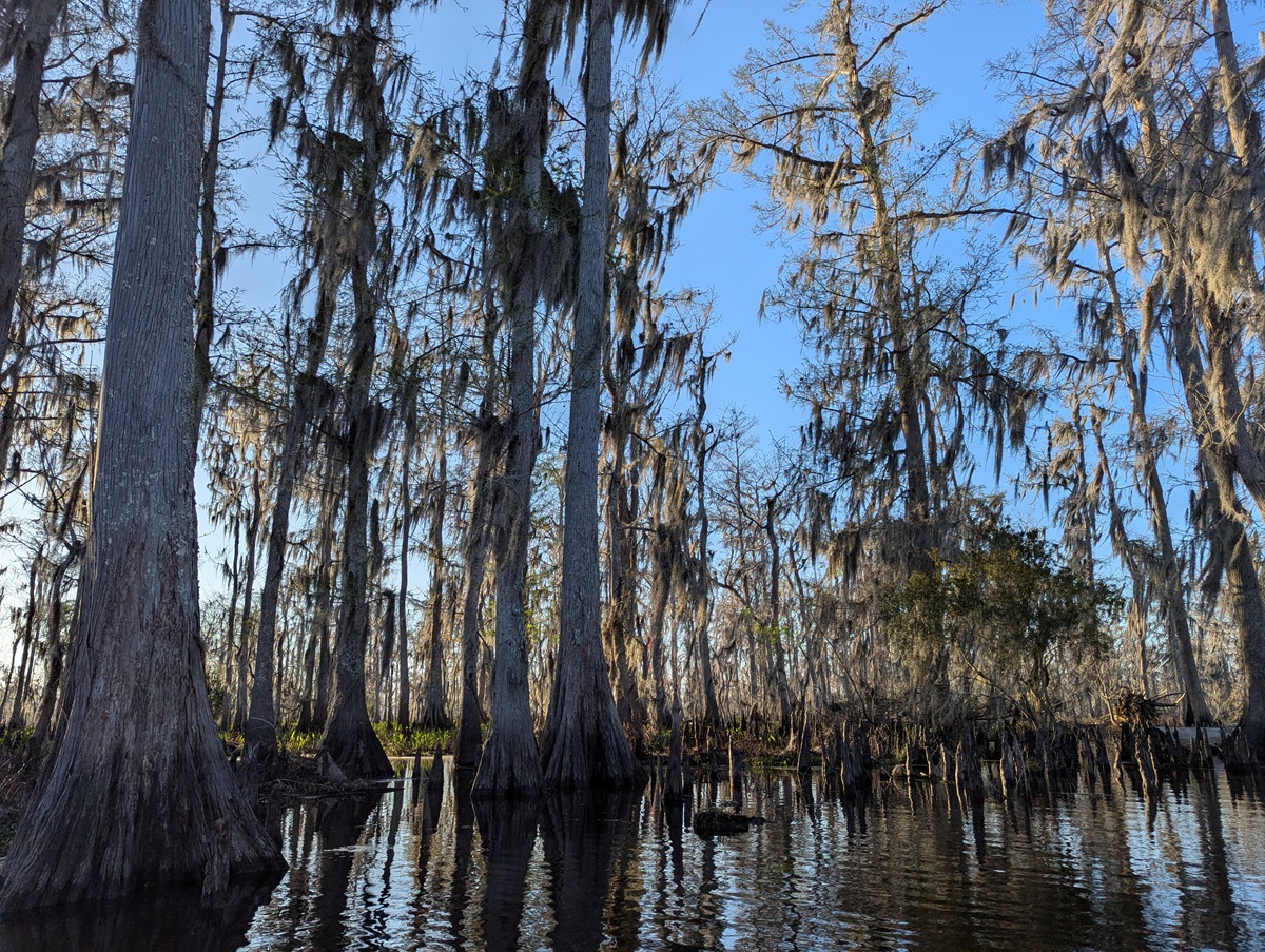 16 best things to do in Louisiana's River Parishes near NOLA